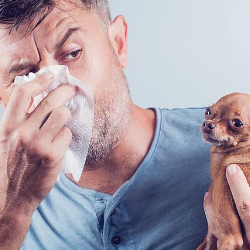 Allertec® Effect - lek przeciwalergiczny zawierający bilastynę